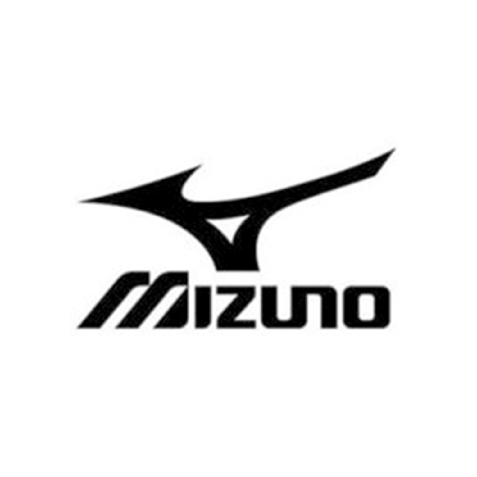 FC BASARA MAINZ ： Offizielle Webseite des FC BASARA Mainz